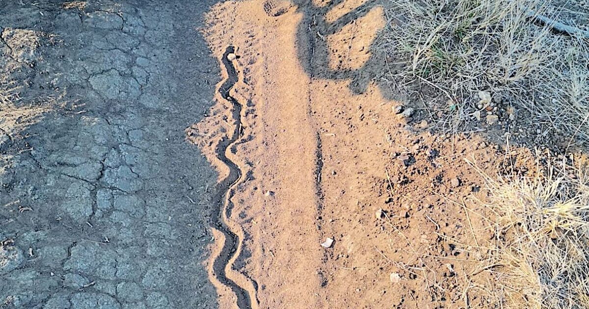 Rhulani Safari Lodge | A mysterious snake track