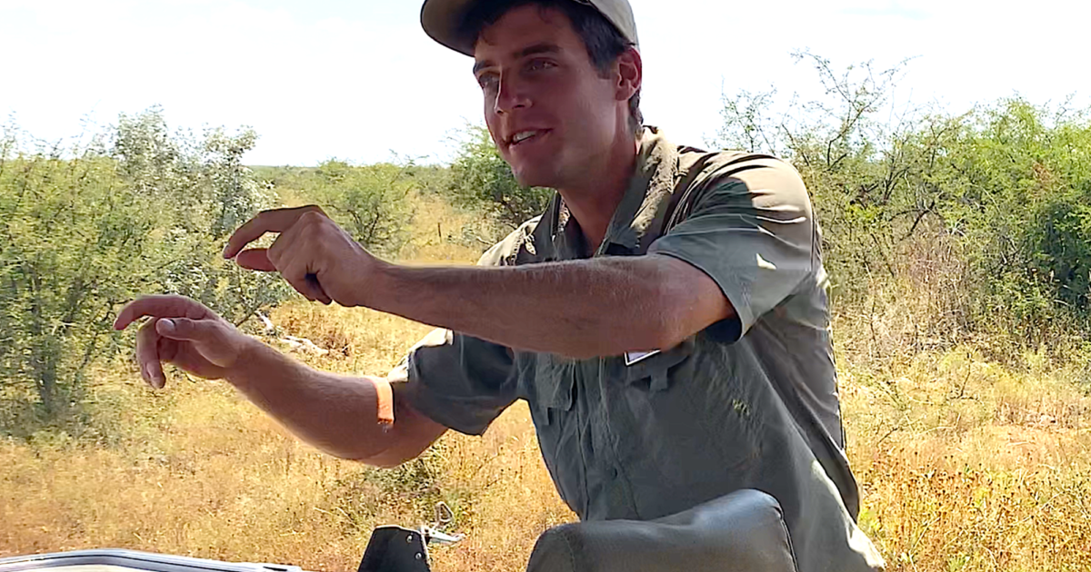 Rhulani Safari Lodge | Life of a Ranger: Matabele Ant Raid