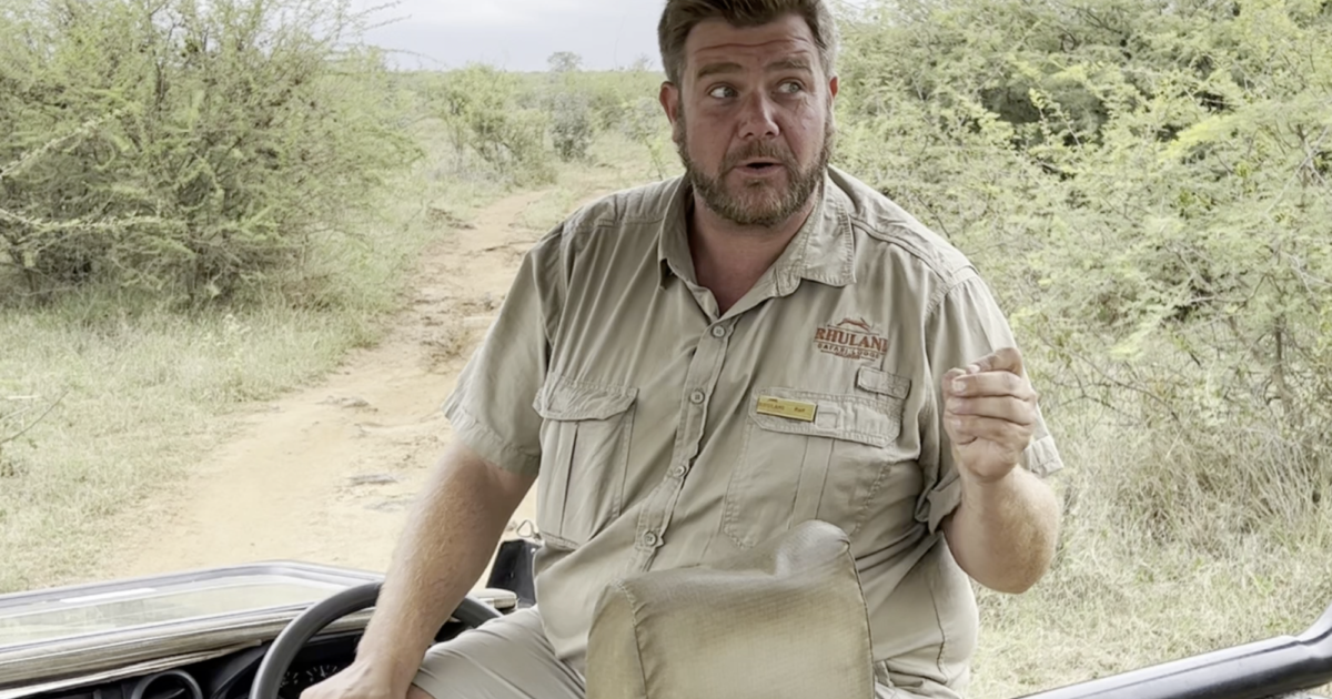 Rhulani Safari Lodge | Life of a Ranger: Territorial impala male