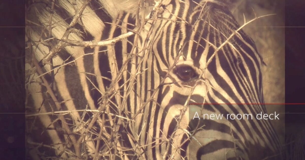 Rhulani Safari Lodge | Rhulani Insights 051 - A new room deck