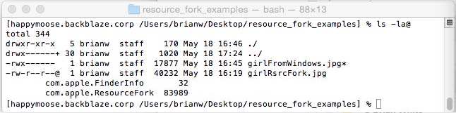 2015 Macintosh Resource Forks