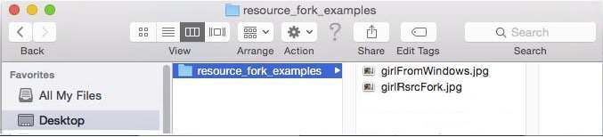 2015 Macintosh Resource Forks