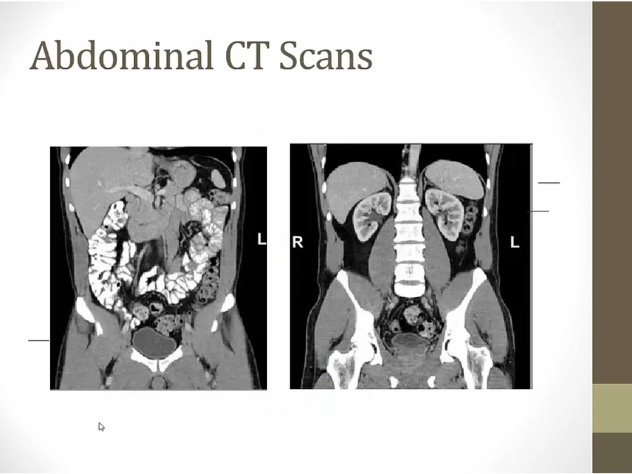 02 GI Anatomy · GitBook